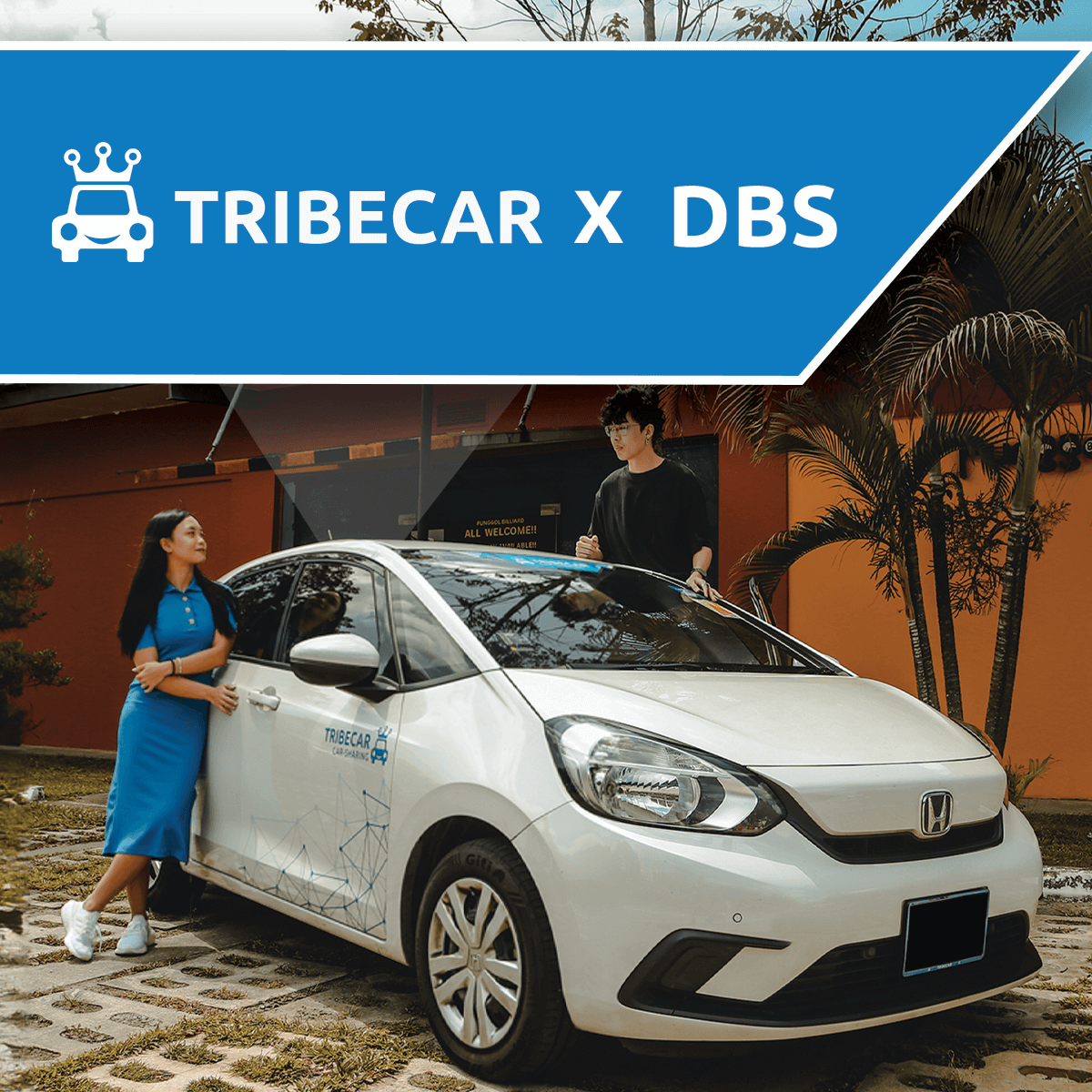 Tribecar - DBS