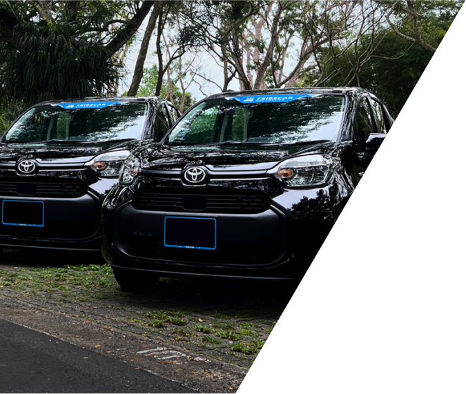 Grab Hourly Rental with Tribecar